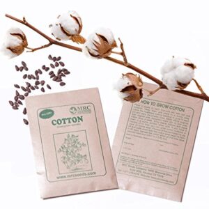 MRC Brand Cotton Seeds Non-GMO, untreated 20+ Cotton Seeds