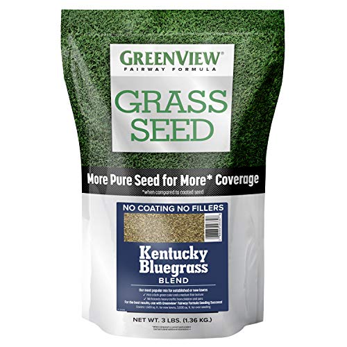 GreenView Fairway Formula Grass Seed Kentucky Bluegrass Blend - 3 lb. Bag