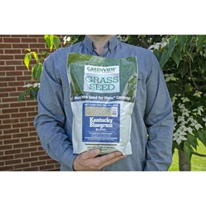 GreenView Fairway Formula Grass Seed Kentucky Bluegrass Blend - 3 lb. Bag