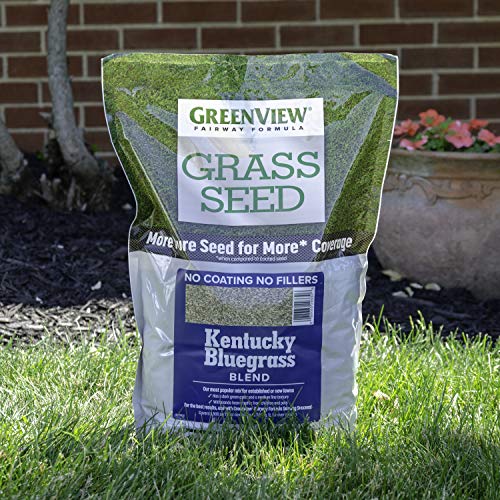 GreenView Fairway Formula Grass Seed Kentucky Bluegrass Blend - 3 lb. Bag