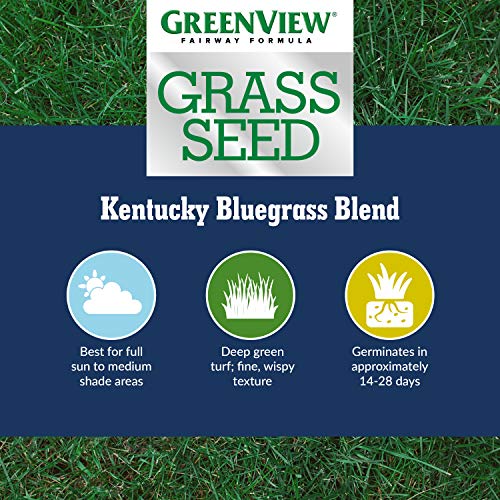 GreenView Fairway Formula Grass Seed Kentucky Bluegrass Blend - 3 lb. Bag