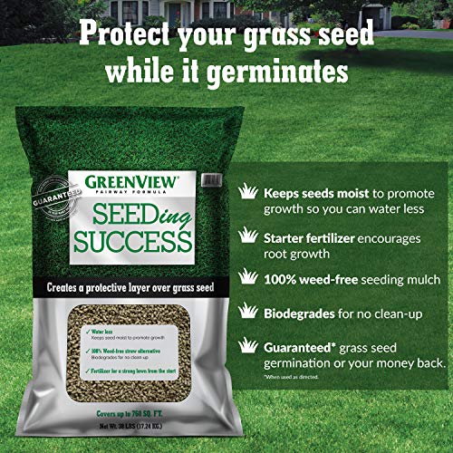 GreenView Fairway Formula Grass Seed Kentucky Bluegrass Blend - 3 lb. Bag