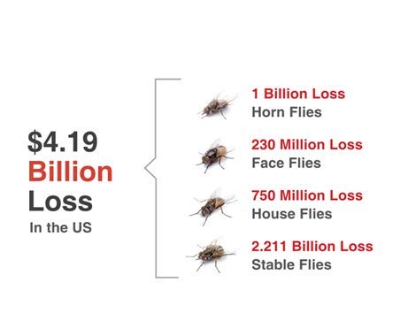 Champion USA JustiFLY Feedthrough Cattle Fly Control, 12 Pack | Non-Toxic Larvicide. Controls All Four Fly Species That Affect Cattle. Over 50 Million Head Treated