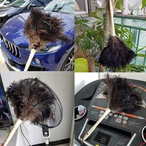 Genuine Ostrich Feather Duster Fluffy Natural with Wooden Handle and Eco-Friendly Reusable Handheld Cleaning Supplies, Gray and Brown(Length 16")