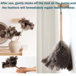 Genuine Ostrich Feather Duster Fluffy Natural with Wooden Handle and Eco-Friendly Reusable Handheld Cleaning Supplies, Gray and Brown(Length 16")