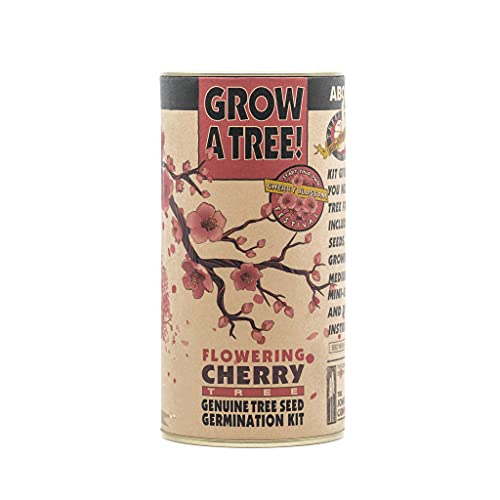 Flowering Cherry Blossom | Tree Seed Grow Kit | The Jonsteen Company