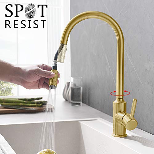 TURS Brushed Gold Kitchen Faucet Brass Kitchen Faucets with Pull Down Sprayer Single Handle One Hole High Arc Copper Kitchen Tap,FK002LG