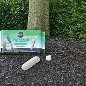 Miracle-Gro Tree & Shrub Fertilizer Spikes - 12 PK - Pack 2