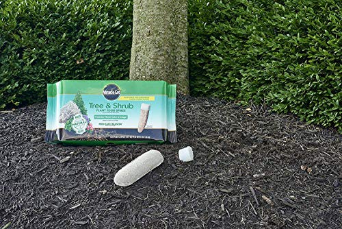 Miracle-Gro Tree & Shrub Fertilizer Spikes - 12 PK - Pack 2