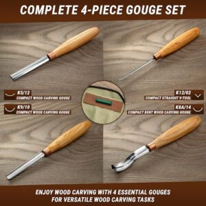 BeaverCraft, Wood Carving Chisel Set SC01 - Gouge Wood Carving Tools Kit in Rolling Pouch with Leather Strop Polishing Compound Kit - Radial Gouges Flat Chisel Bent Gouge (Chisel Set)