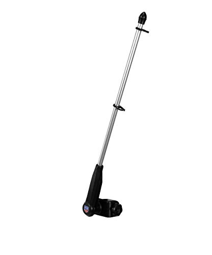 Golf Cart Flagpole (Black)