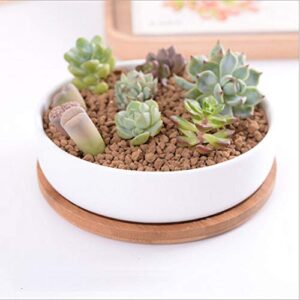 Lawei 3 Pack 6 inch Round Succulent Cactus Planter Pots with Drainage Bamboo Tray - Garden Ceramic Flower Planter Pot