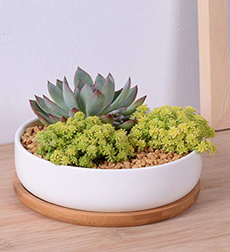 Lawei 3 Pack 6 inch Round Succulent Cactus Planter Pots with Drainage Bamboo Tray - Garden Ceramic Flower Planter Pot