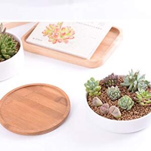 Lawei 3 Pack 6 inch Round Succulent Cactus Planter Pots with Drainage Bamboo Tray - Garden Ceramic Flower Planter Pot