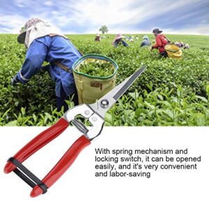 Pruning Shears, Garden Clippers Garden Scissors Fruit Tree Bonsai Gardening Pruning Shear Hand Pruners, Pruning Shear for Arranging Flowers Trimming Plants & Hydroponic Herbs