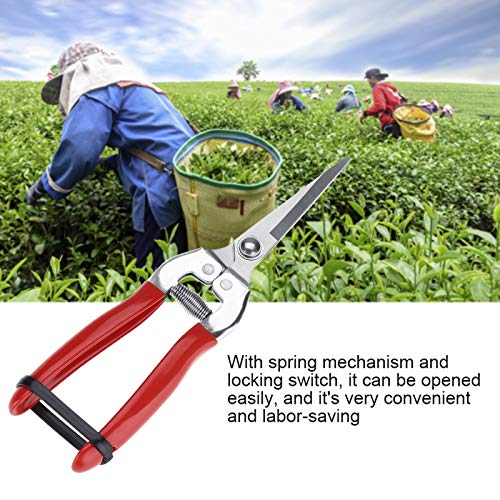 Pruning Shears, Garden Clippers Garden Scissors Fruit Tree Bonsai Gardening Pruning Shear Hand Pruners, Pruning Shear for Arranging Flowers Trimming Plants & Hydroponic Herbs