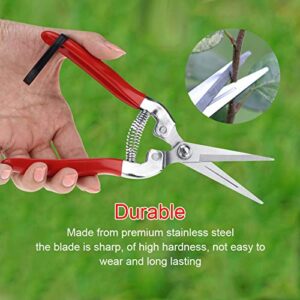 Pruning Shears, Garden Clippers Garden Scissors Fruit Tree Bonsai Gardening Pruning Shear Hand Pruners, Pruning Shear for Arranging Flowers Trimming Plants & Hydroponic Herbs