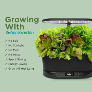 AeroGarden Bounty Basic - Indoor Garden with LED Grow Light, Black