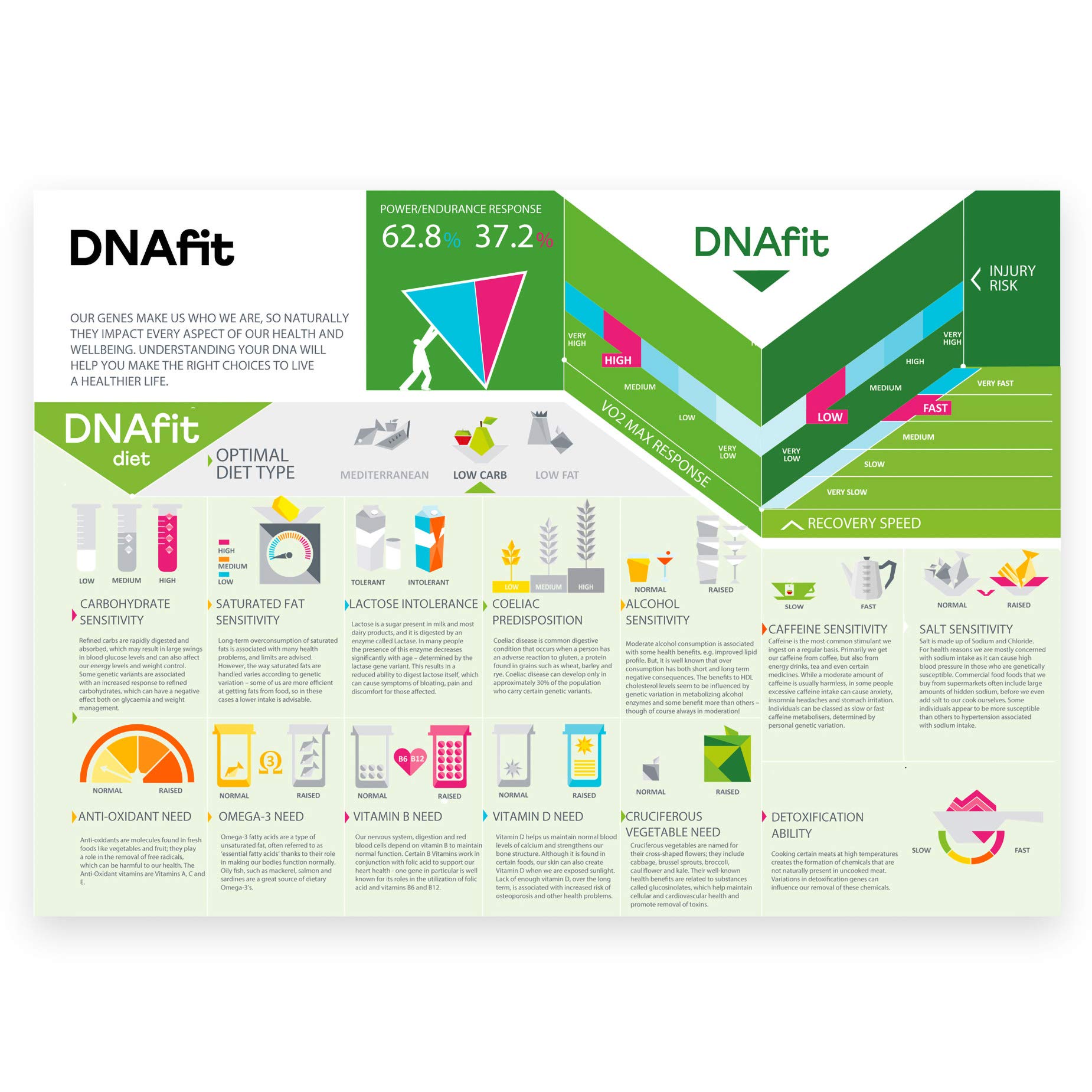 Body Link by DNAfit | Immediate nutrition and fitness results for 23andMe and Ancestry customers | No re-swab