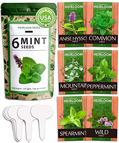 (6 Variety) Mint Seeds for Planting Outdoors or Indoors - Peppermint, Spearmint, Mountain Mint, Wild Mint, Anise Hyssop, & Common Mint | Non-GMO, Heirloom Herb Seed,Grow Your Own Mint Plants Live