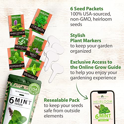 (6 Variety) Mint Seeds for Planting Outdoors or Indoors - Peppermint, Spearmint, Mountain Mint, Wild Mint, Anise Hyssop, & Common Mint | Non-GMO, Heirloom Herb Seed,Grow Your Own Mint Plants Live