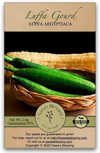 gaea's blessing seeds - luffa gourd seeds - non-gmo - with easy to follow planting instructions - heirloom sponge loofah muop huong 93% germination rate