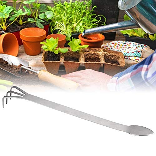 Rake Bonsai Tool Bonsai Tweezers 2 in 1 Stainless Steel Bonsai & Gardening Tool Root Rake + Spatula