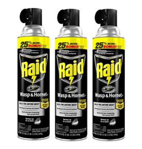 raid wasp and hornet killer, 17.5 oz (pack - 3)