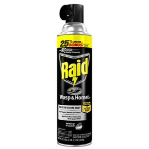 Raid Wasp and Hornet Killer, 17.5 OZ (Pack - 3)