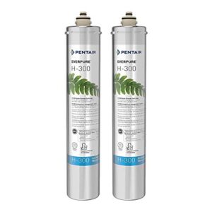 pentair everpure h-300 water filter replacement cartridge for home faucet tap water under sink, ev927072 (2 pack)