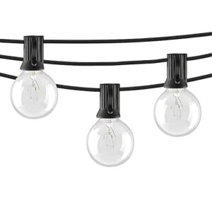 Beams 5W G40 Globe Bulb Incandescent Weatherproof Indoor/Outdoor String Lights, 25 feet, Black