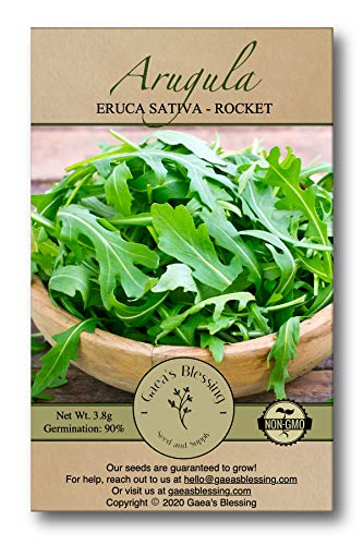 Gaea's Blessing Seeds - Arugula Seeds -2000 Seeds - Roquette Rocket Heirloom - Non-GMO Seeds with Easy to Follow Planting Instructions - 90% Germination Rate (Pack of 1)