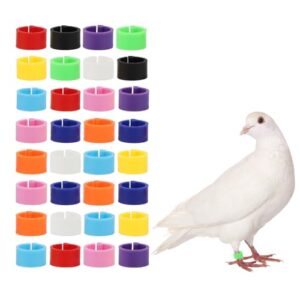 wontee 100pcs poultry leg rings quail clip on foot bands for chicks pullets tiny bantams (mix color)