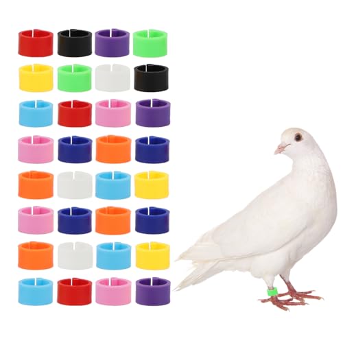 Wontee 100PCS Poultry Leg Rings Quail Clip on Foot Bands for Chicks Pullets Tiny Bantams (Mix Color)