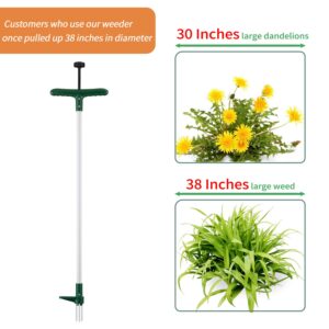 Walensee Stand Up Weeder and Weed Puller, Stand up Manual Weeder Hand Tool with 3 Claws, Stainless Steel and High Strength Foot Pedal, Weed Puller (Combo Pack - Stand Up Weeder & Hand Weeder)