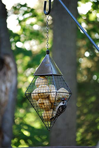 Wildlife Sciences Melt Resistant Suet Balls Variety 16 Pack, 4 Wrapped Packs of 4 Bird Suet Balls