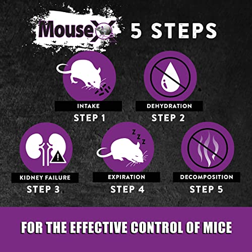 MouseX Throw Packs- For All Species of Rats and Mice. Safe Around Pets