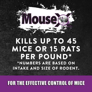 MouseX Throw Packs- For All Species of Rats and Mice. Safe Around Pets