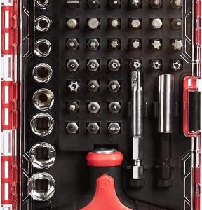 Amazon Basics 51-Piece Precision Nut and Screwdriver Set