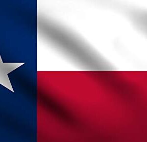 DMSE Texas Lone Star State Flag 2X3 Ft Foot 100% Polyester 100D Flag UV Resistant (2' X 3' Ft Foot)