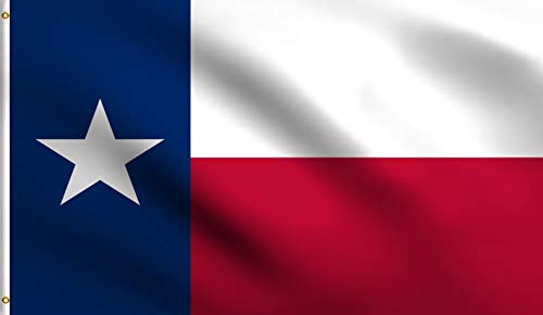 DMSE Texas Lone Star State Flag 2X3 Ft Foot 100% Polyester 100D Flag UV Resistant (2' X 3' Ft Foot)