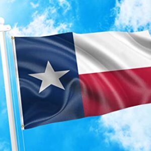 DMSE Texas Lone Star State Flag 2X3 Ft Foot 100% Polyester 100D Flag UV Resistant (2' X 3' Ft Foot)