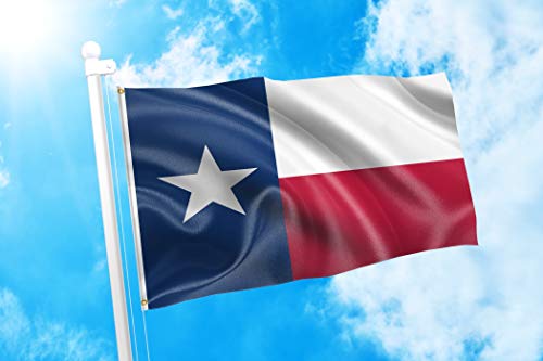 DMSE Texas Lone Star State Flag 2X3 Ft Foot 100% Polyester 100D Flag UV Resistant (2' X 3' Ft Foot)