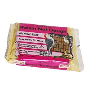 Suet Plus No Melt Suet Cake 5 Pack Variety of No Melt Suet Cakes for Wild Birds