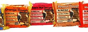 Suet Plus No Melt Suet Cake 5 Pack Variety of No Melt Suet Cakes for Wild Birds