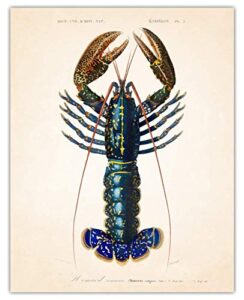 vintage crimson crawfish illustration wall art print: 11x14 unframed wall poster for home, office, dorm, bedroom, studio & man cave room decor - chic home decor & creative housewarming gift idea