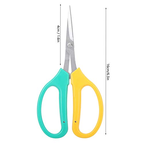 Stainless Steel Scissor, Curved Blade Grape Pruning Shears Fruit Branch Picking Scissors Bonsai Shears for Bonsai,Fruit Trees, Gardens,etc