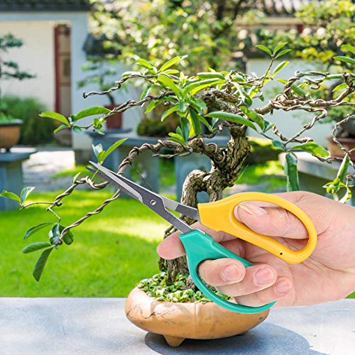 Stainless Steel Scissor, Curved Blade Grape Pruning Shears Fruit Branch Picking Scissors Bonsai Shears for Bonsai,Fruit Trees, Gardens,etc