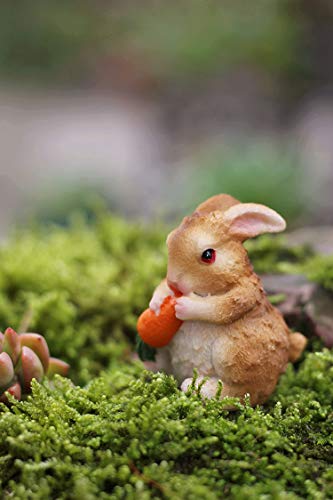 MUAMAX 3 PCs Miniature Bunnies Fairy Garden Accessories Rabbit Easter Bunnies Resin Ornaments Garden Bonsai Decoration Sculpture Statue Figurines for Lawn Potted Plants