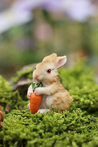 MUAMAX 3 PCs Miniature Bunnies Fairy Garden Accessories Rabbit Easter Bunnies Resin Ornaments Garden Bonsai Decoration Sculpture Statue Figurines for Lawn Potted Plants